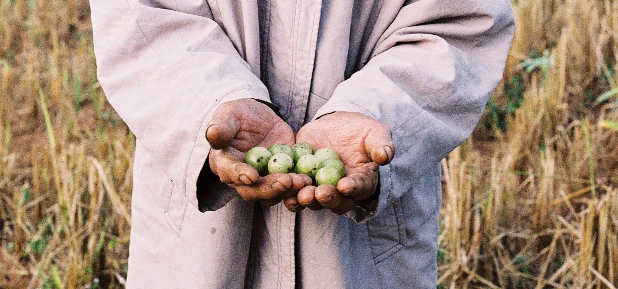 De handen van Khun Tat – Modder Supps.